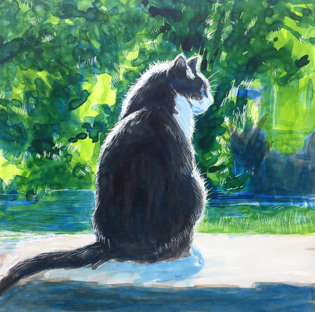 Window Cat – McAdams Studio